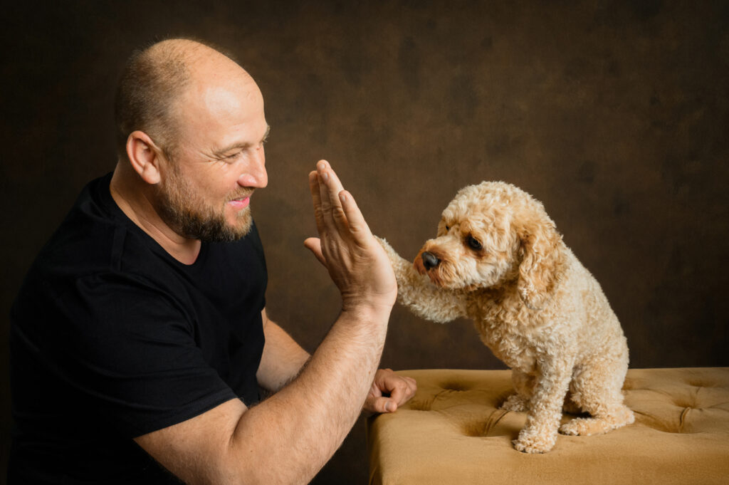 Pets – Bellizzi Studios